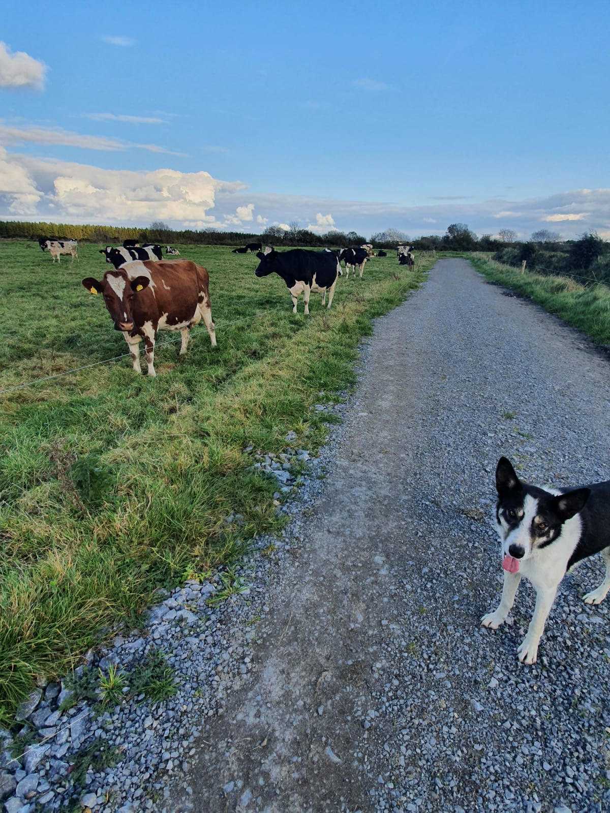 Professional. Quality. Care.